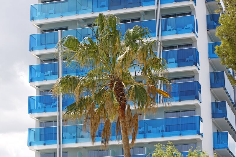 BG Tonga Tower Design Hotel & Suites - Can Picafort, Majorca - On The Beach